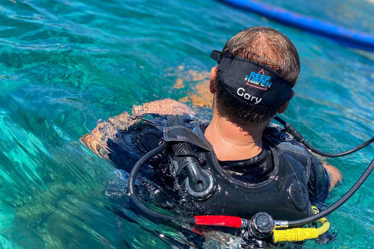 About Us - Reef Haven