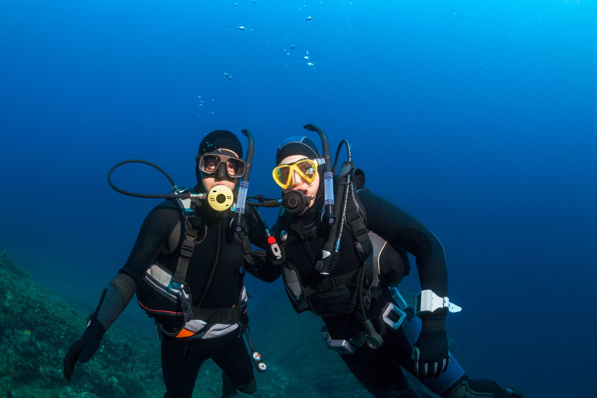 The Role of Dive Guides: Enhancing Your Dive Experience - Reef Haven